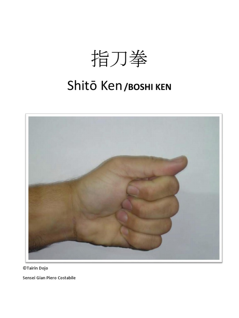 Boshiken | PDF