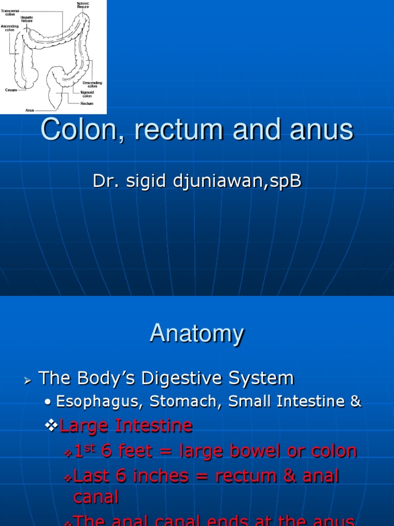 Colon, Rectum and Anus-Dr. Sigit | PDF | Colorectal Cancer | Colonoscopy