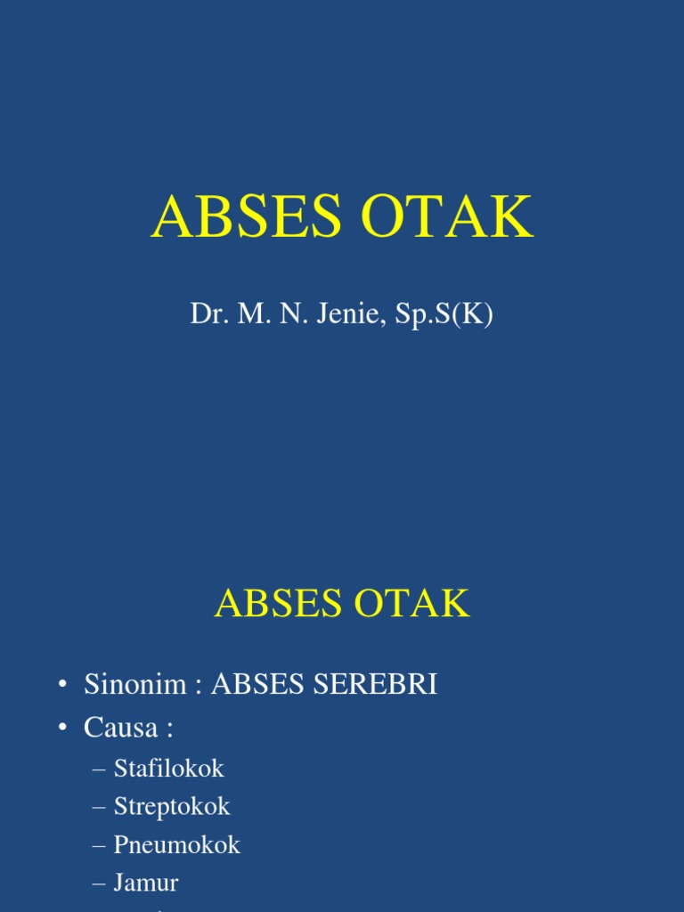 Abses Otak: Dr. M. N. Jenie, SP.S (K) | PDF