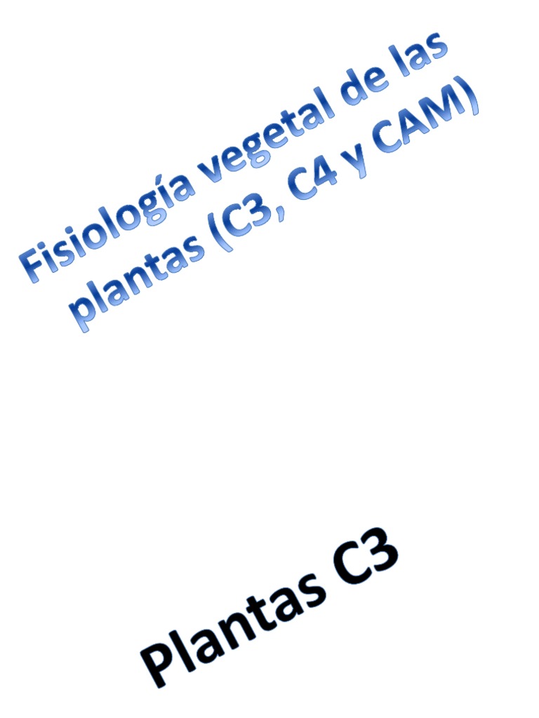 Plantas c3 | PDF | Plantas | Fotosíntesis