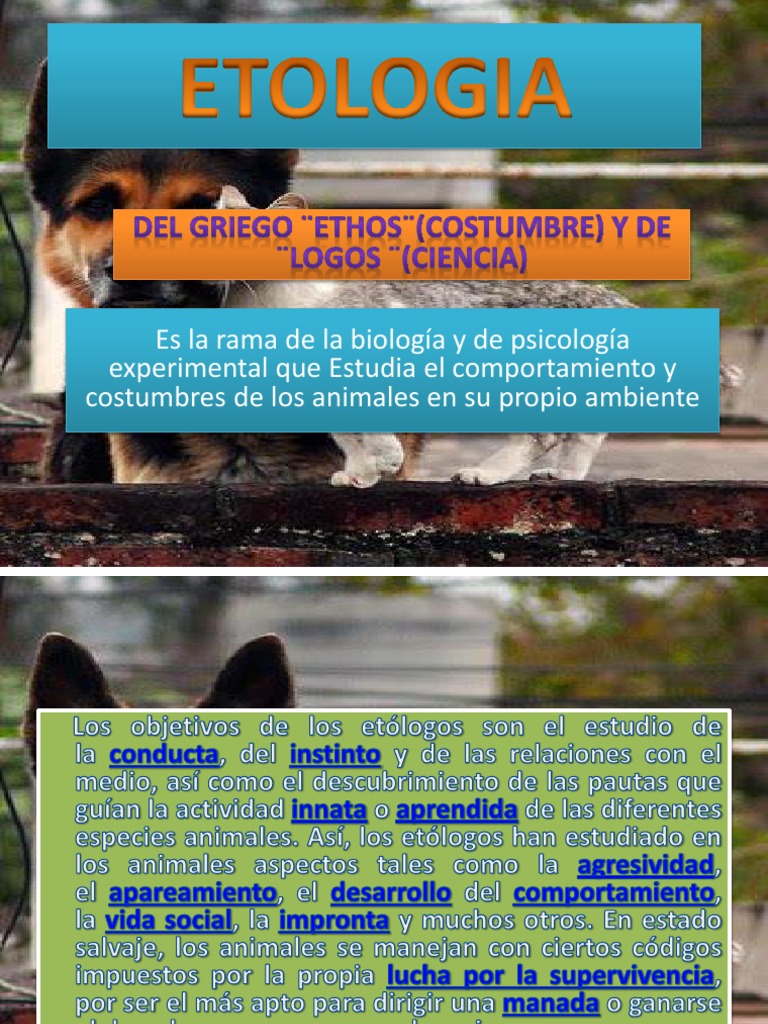 Introducción a la Etología | PDF | Etología | Biología