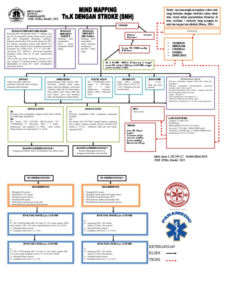 Mind Mapping SNH ICU | PDF