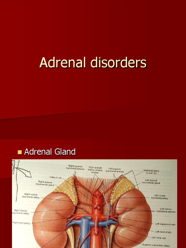 Adrenocortical Hyperfunction | PDF | Adrenal Gland | Adrenocorticotropic Hormone