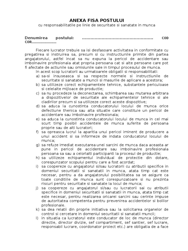 Anexa Fisa Postului SSM | PDF