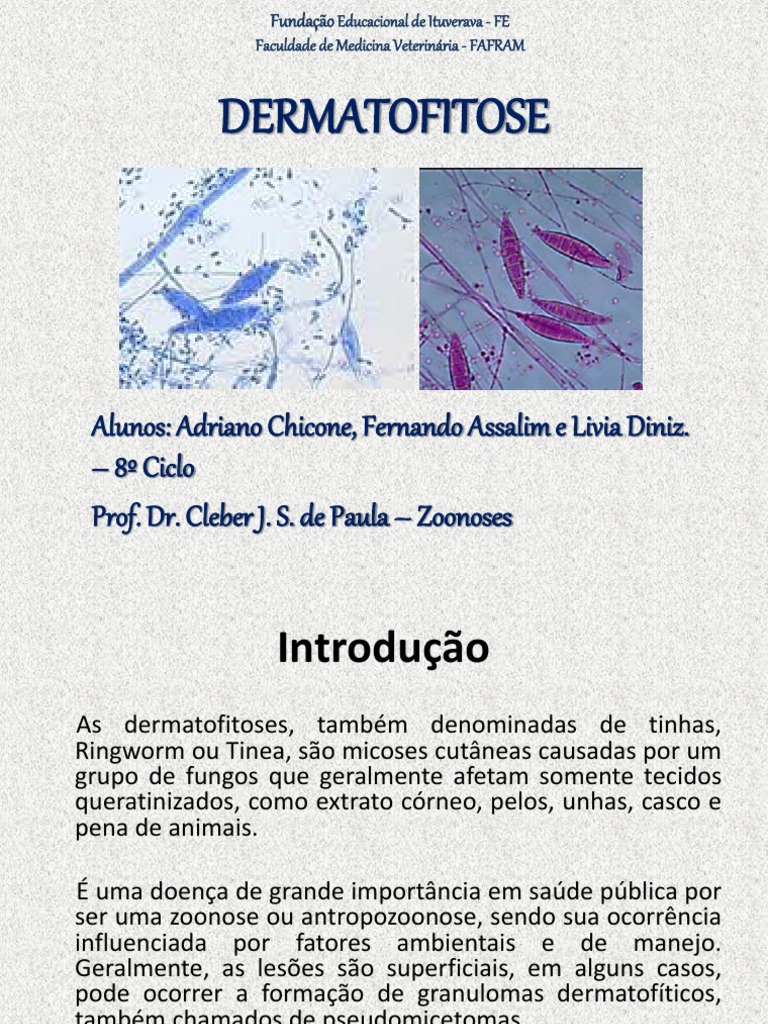 Dermatofitose - Zoonoses | PDF | Pele | Fungo