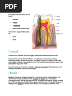PSR System for Periodontal Screening | PDF | Periodontology | Dentistry ...