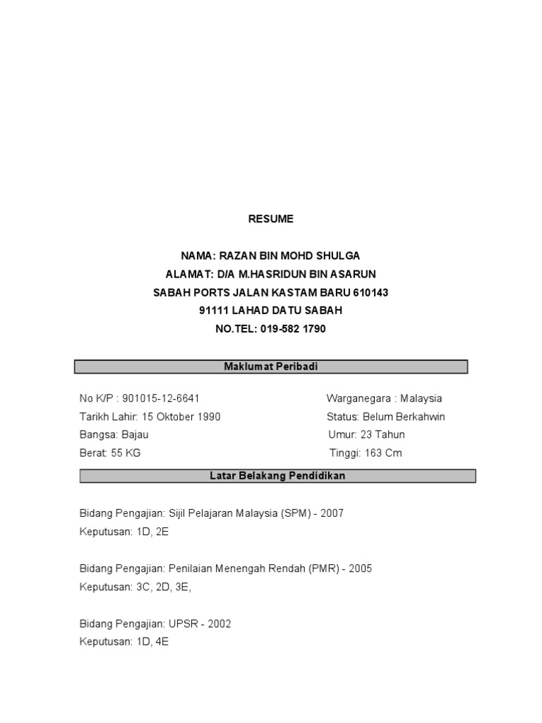 Contoh Resume | PDF
