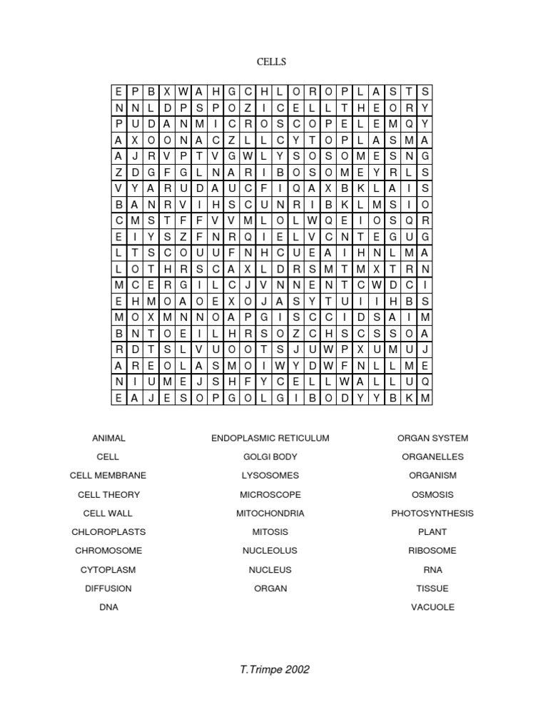 Cells Word Search | PDF | Self-Improvement | Wellness