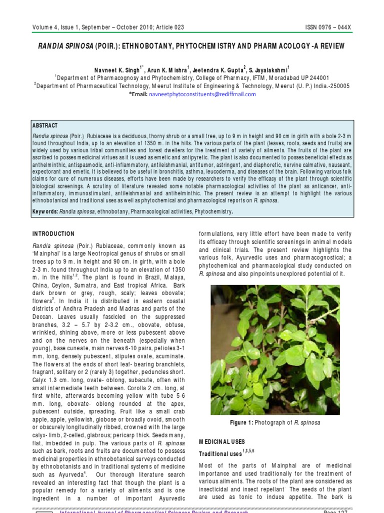 Randia Spinosa | PDF | Traditional Medicine | Ayurveda