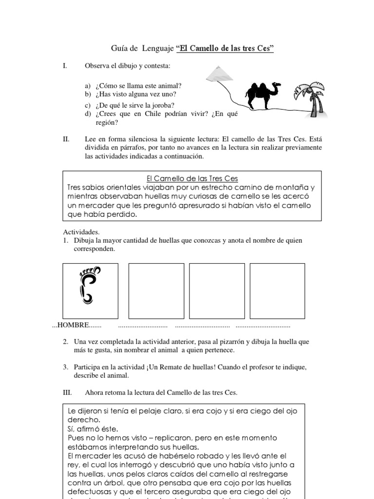 Guia Comprension Lectora Camello 3C | PDF | Lectura (proceso)