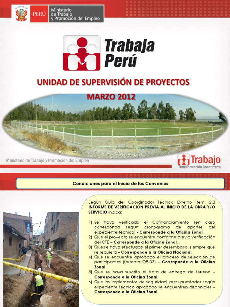 Supervisión de Proyectos y Participantes | PDF