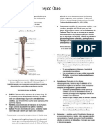 Anatomía de la Cápsula de Glisson | PDF | Tejido adiposo | Riñón