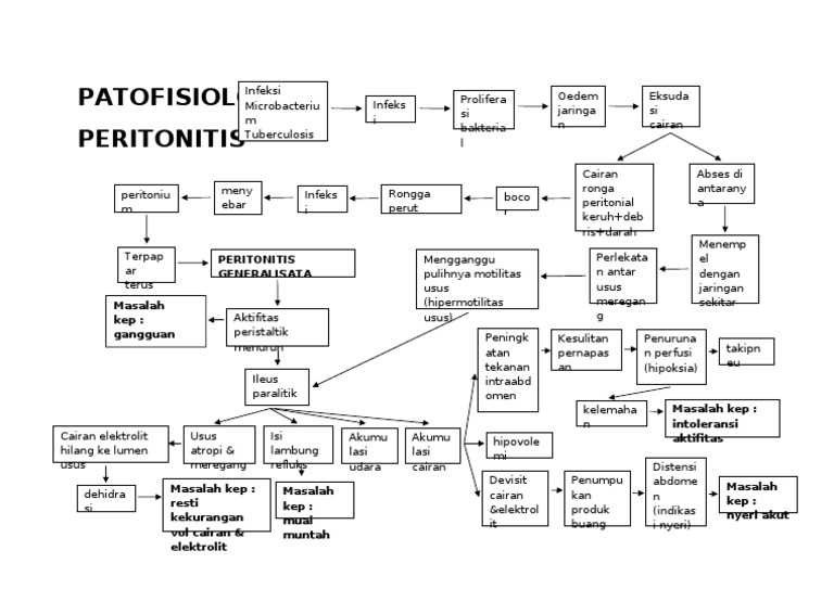 Patofisiologi Peritonitis | PDF