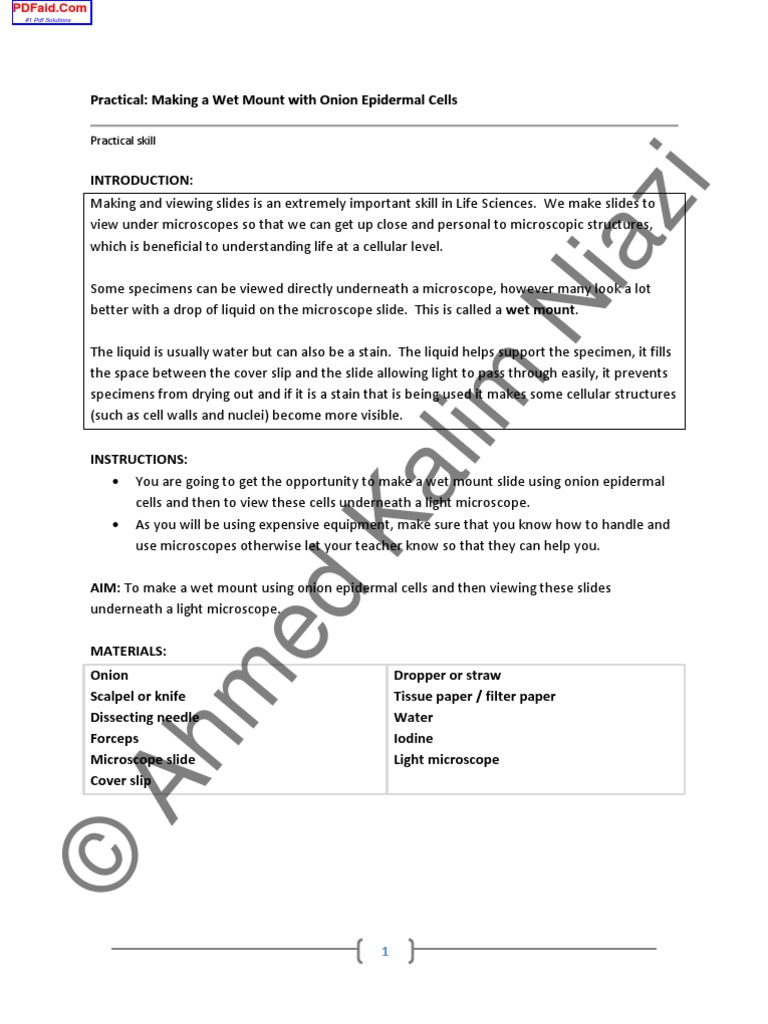Making A Wet Mount (Onion Epidermis) | PDF | Epidermis | Staining