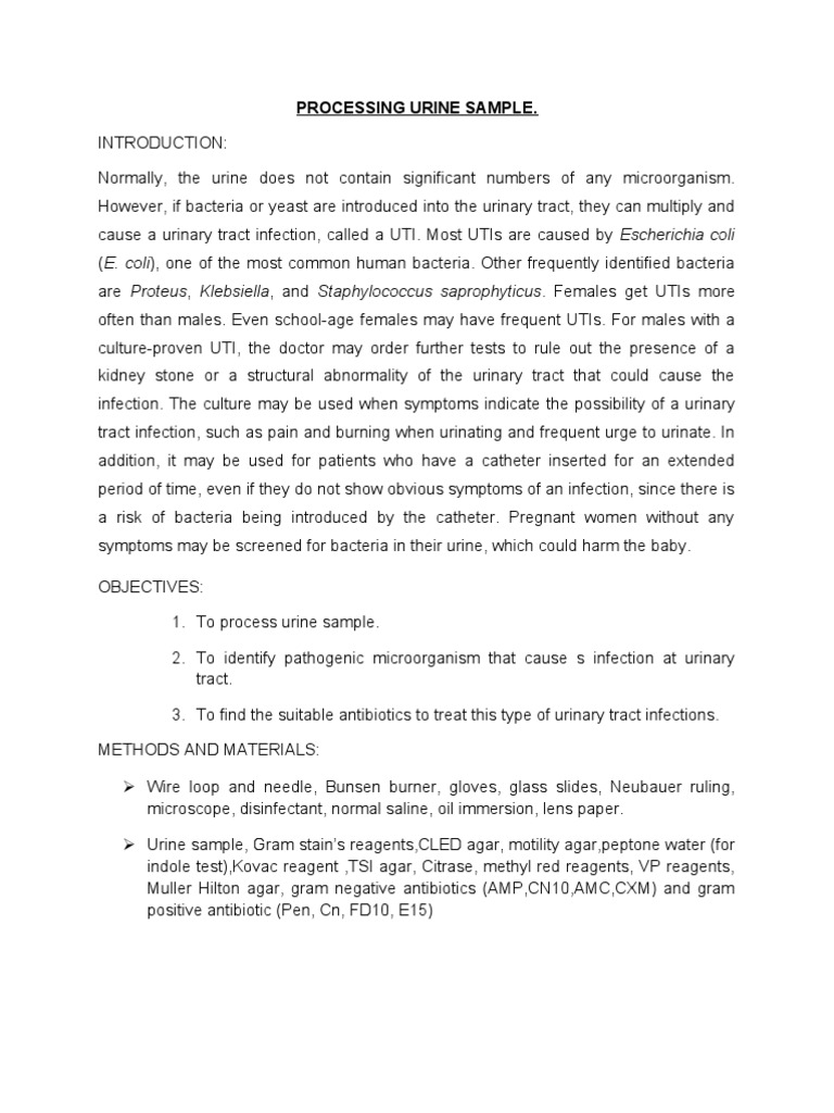 Processing Urine Sample | PDF | Urinary Tract Infection | Bacteria