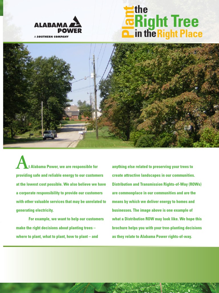 Alabama Power Plant The Right Tree in The Right Place | PDF | Electric ...