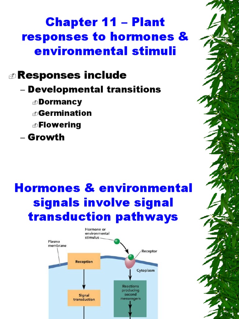 Phytohormones and Their Functions | PDF | Auxin | Plant Hormone
