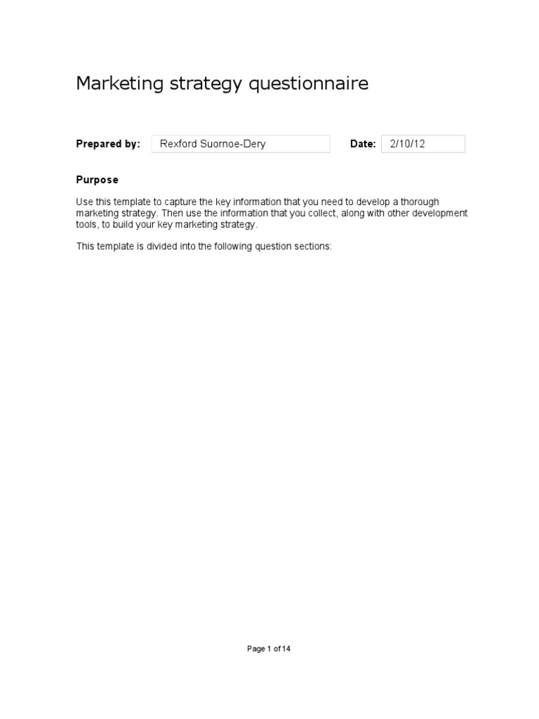 00 Marketing Strategy Questionnaire | PDF | Target Audience | Sales