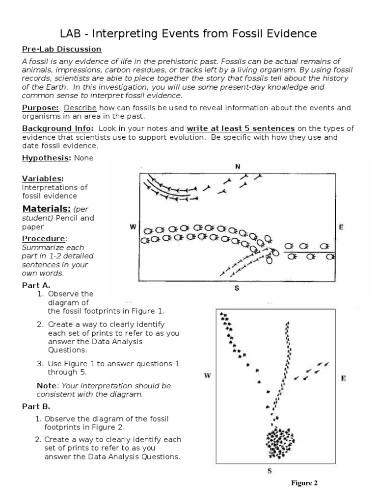 Lab - Fossil Evidence | PDF | Fossil | Data Analysis