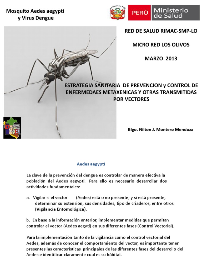 Mosquito Aedes Aegypti | PDF | Mosquito | Aedes aegypti