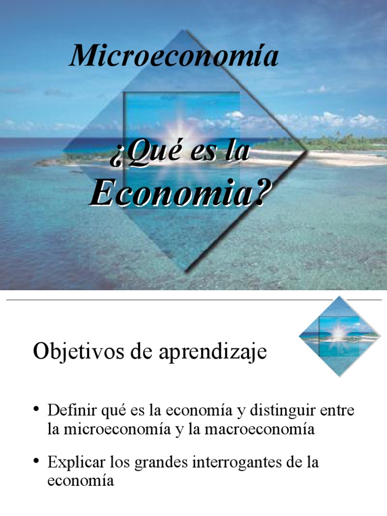01 (1) - Que Es La Economia | PDF | Factores de producción | Microeconomía