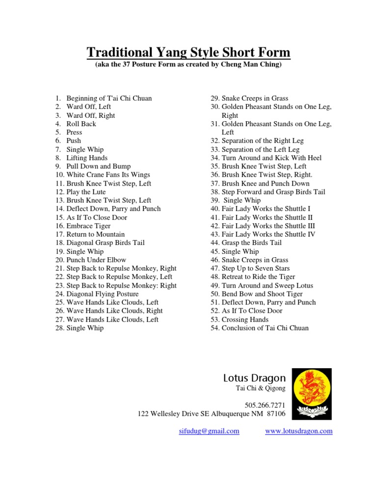 Traditional Yang Style Short Form Guide | PDF | Travel
