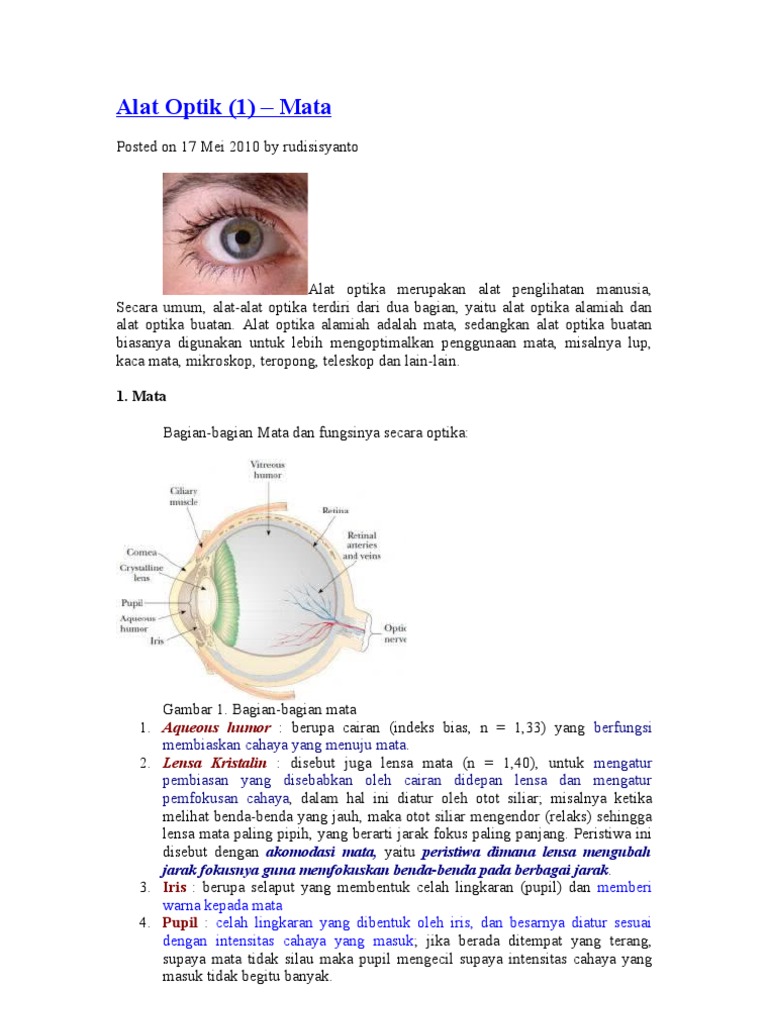 Visus Anomali Dan Refraksi Plus Buta Warna | PDF