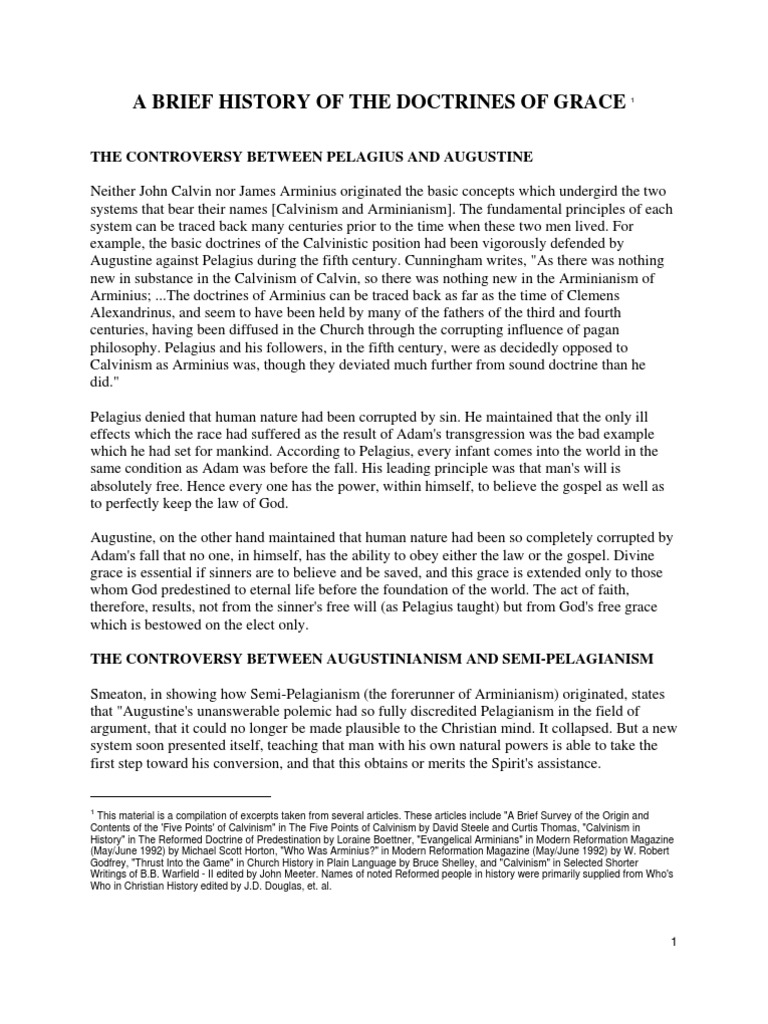 A Brief History of The Doctrines of Grace PDF | Download Free PDF ...