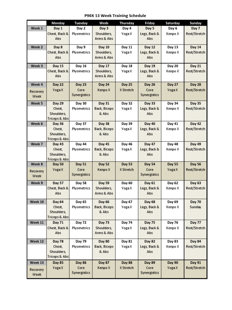 P90X Fitness Guide | Physical Exercise | Sports