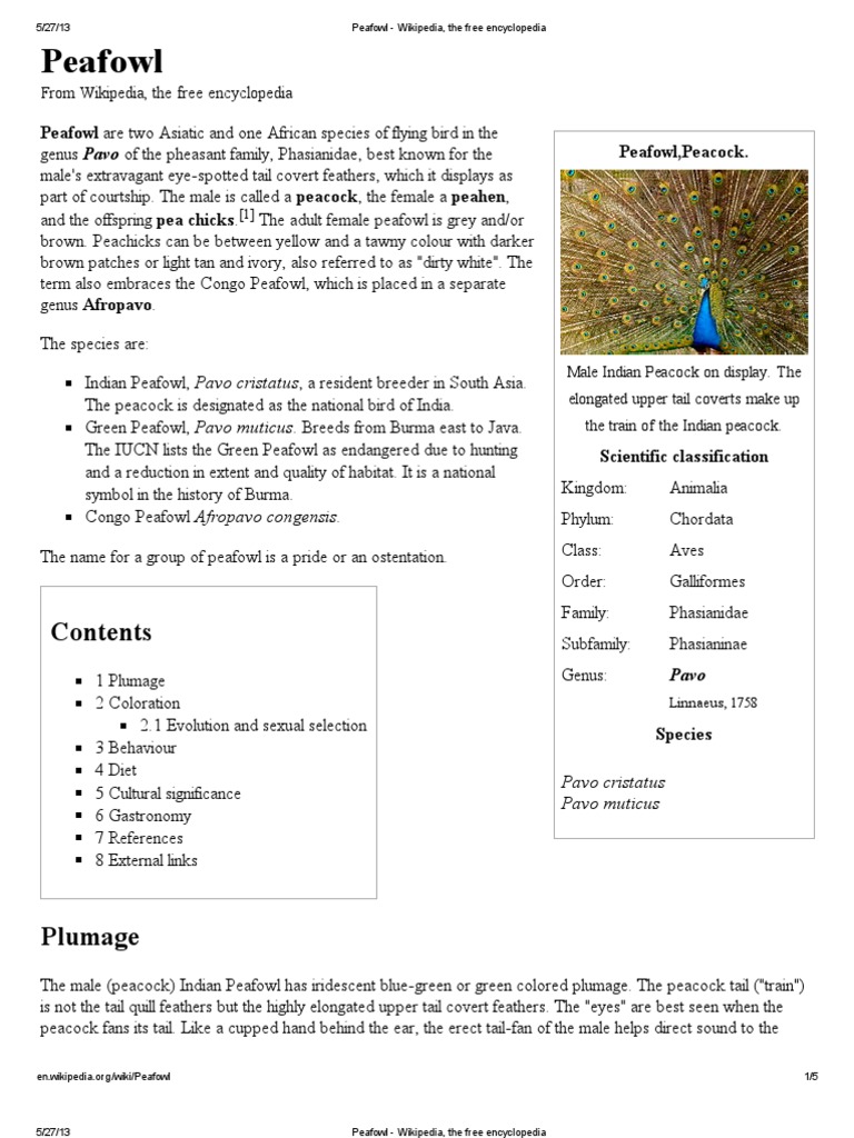 Peafowl and Their Features | PDF | Peafowl | Birds