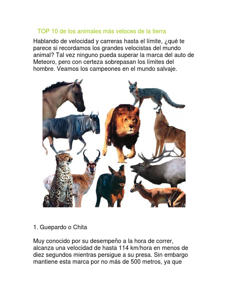 TOP 10 de Los Animales Más Veloces de La Tierra | PDF | Naturaleza