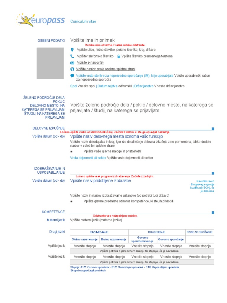 Europass CV Nov | PDF