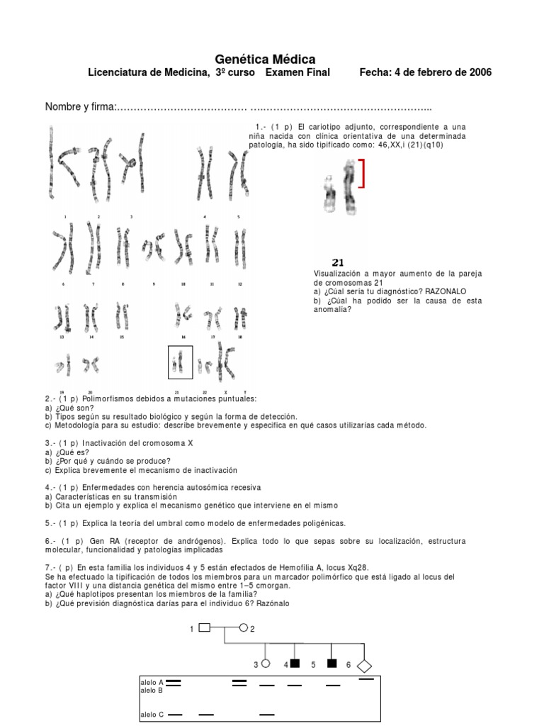 Análisis de Cariotipos y Enfermedades Genéticas | PDF | Mutación ...