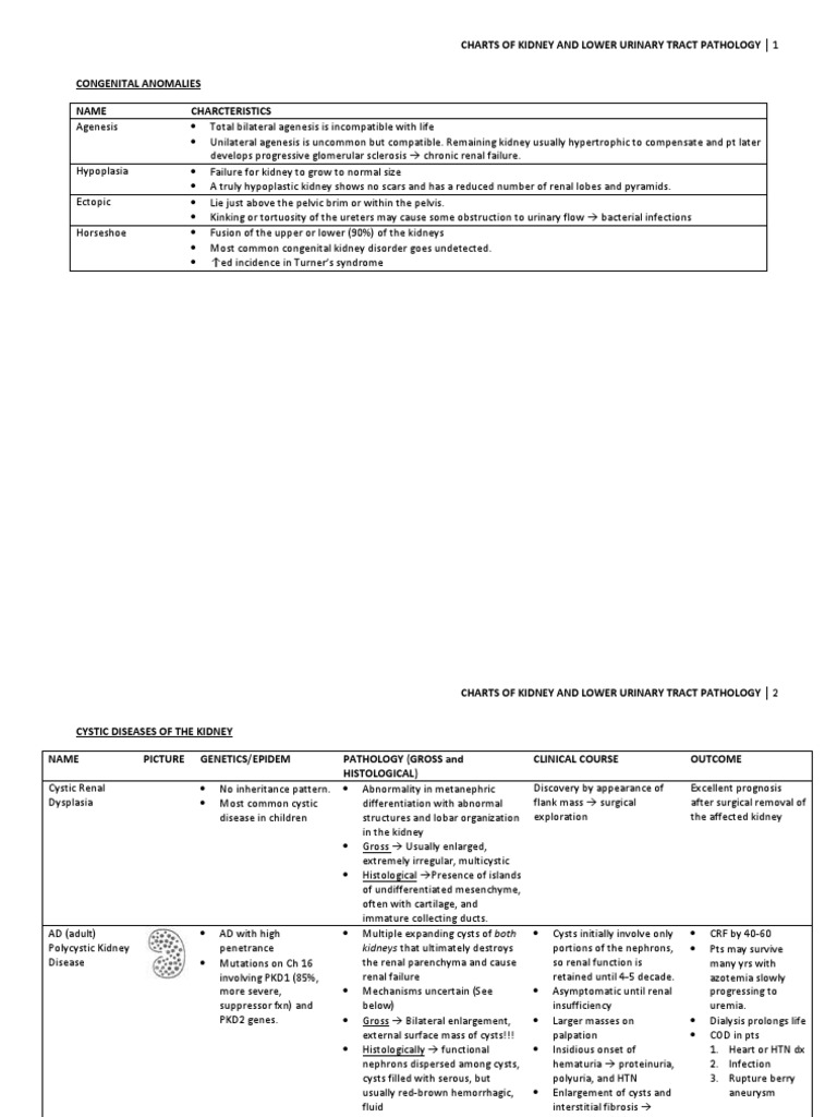 Charts For Kidney and Lower Urinary Tract Pathology. Nephrology ...