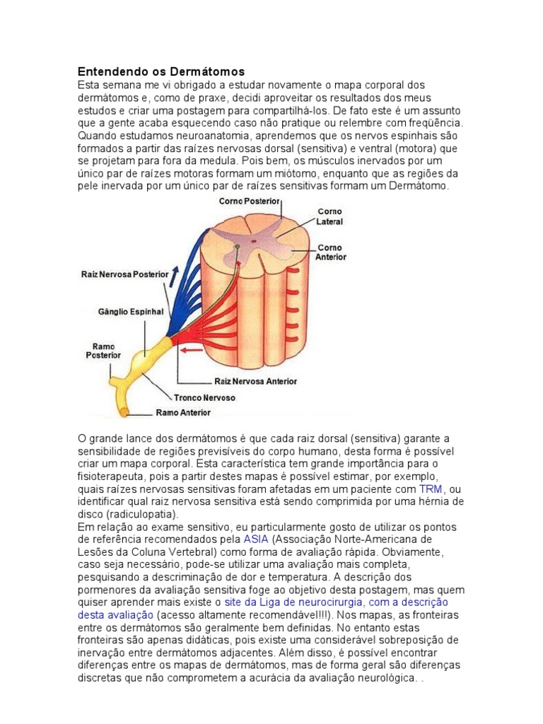 Mapa dos Dermátomos e Raízes Nervosas | PDF | Coluna vertebral | Nervo