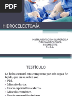 Colpoperineoplastia: Técnica y Procedimiento | PDF