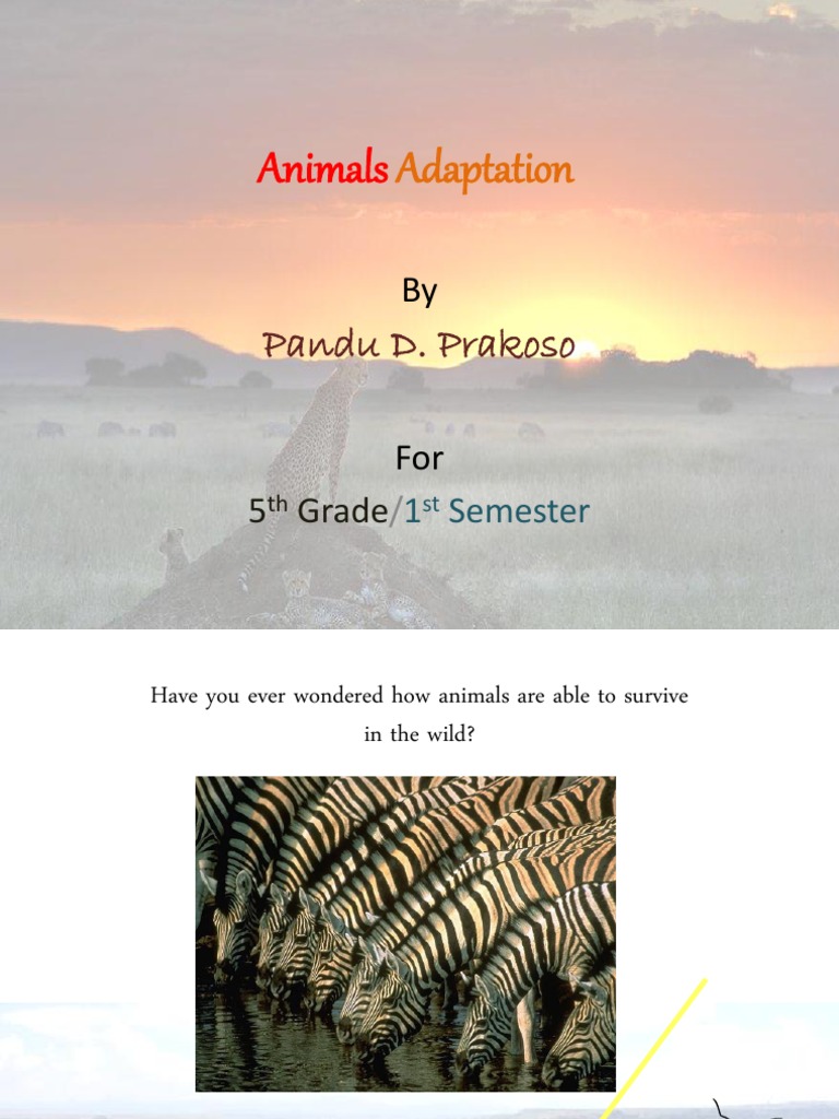 Animal Adaptation For 5th Grade | PDF | Adaptation | Organisms
