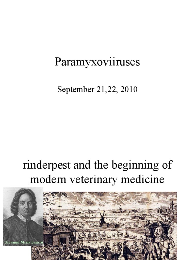 Morbili | PDF | Virus | Life Sciences