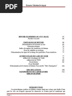 Guide Des Terrassements Routier GTR