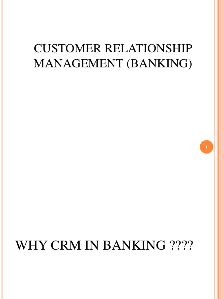 Customer Relationship Management (Banking) | PDF | Customer ...