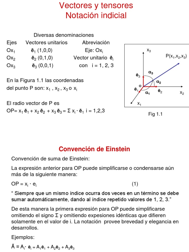 Notacion Indicial - Bis | Descargar gratis PDF | Tensor | Vector Euclidiano