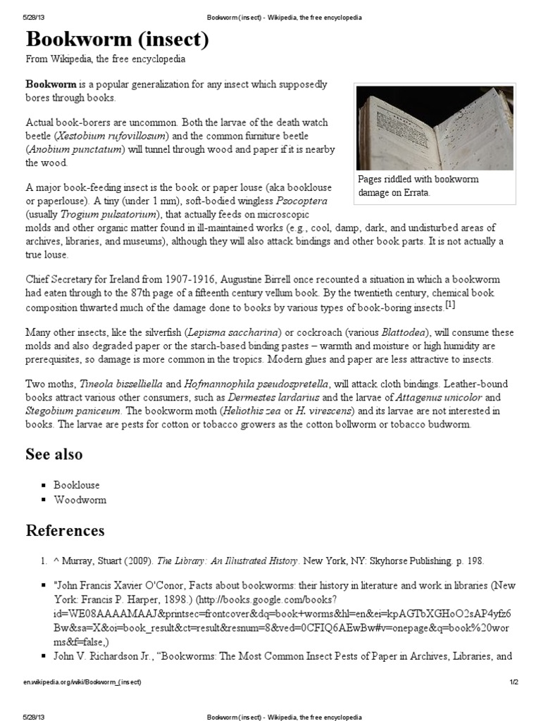 Bookworm | PDF | Insects | Hexapoda