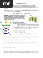 Biology Chapter 1 Notes (Grade 11) | PDF | Species | Cell (Biology)