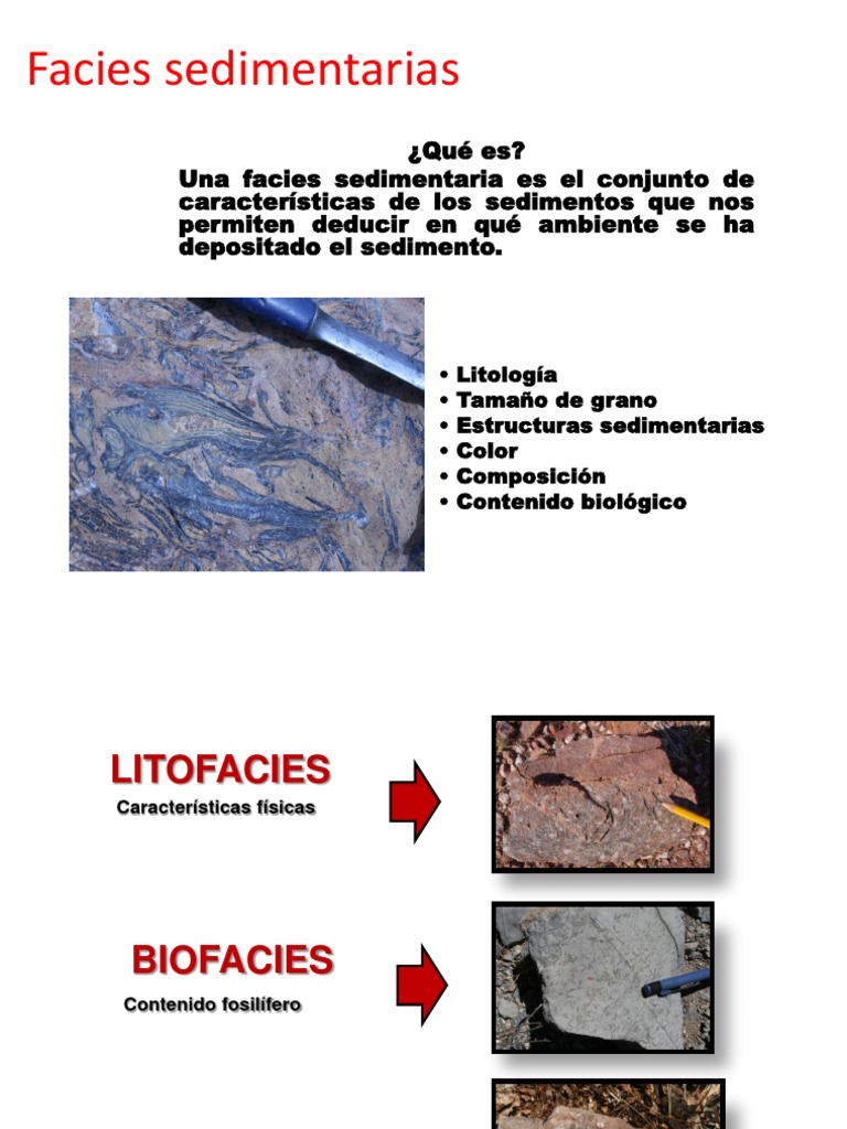 Facies Sedimentarias | PDF | Roca sedimentaria | Estratigrafía