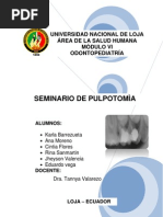 Protocolo Pulpotomia | PDF
