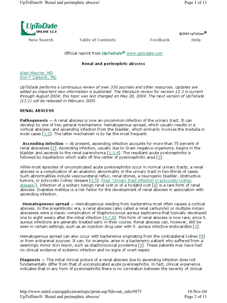 Renal and Perinephric Abscess | PDF | Urinary Tract Infection | Kidney