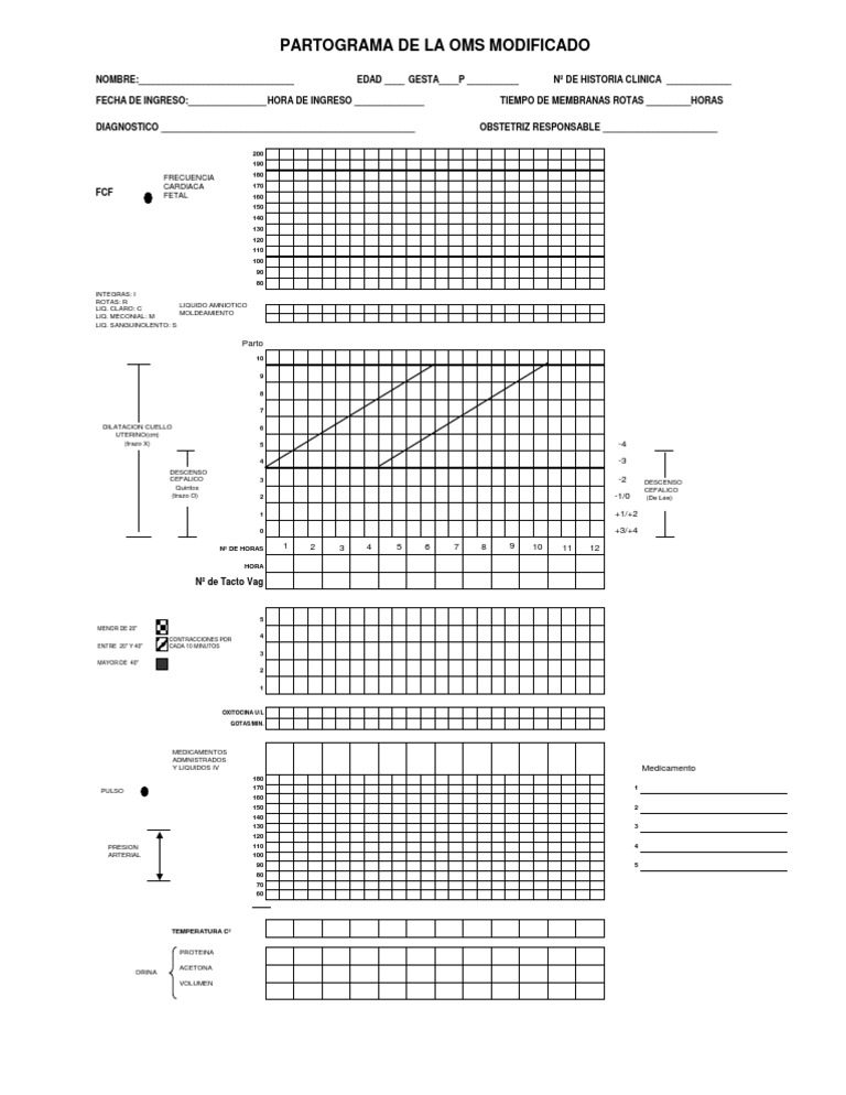 Partograma Modelo | PDF