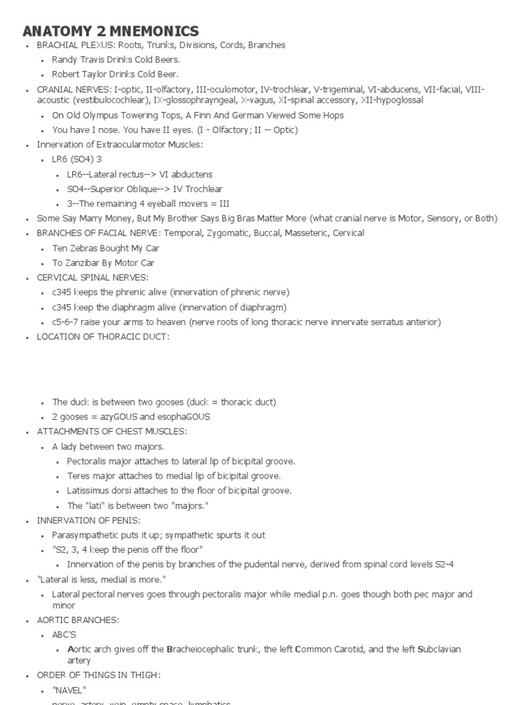 Anatomy 2 Mnemonics Part 5 For The Boards | PDF | Common Carotid Artery ...