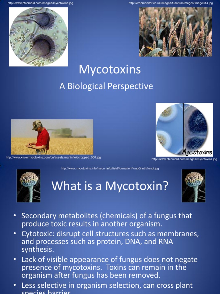 Mycotoxins | Mycotoxin | Medical Specialties