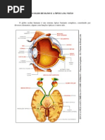 Acinetopsia | PDF | Enxaqueca | Percepção visual